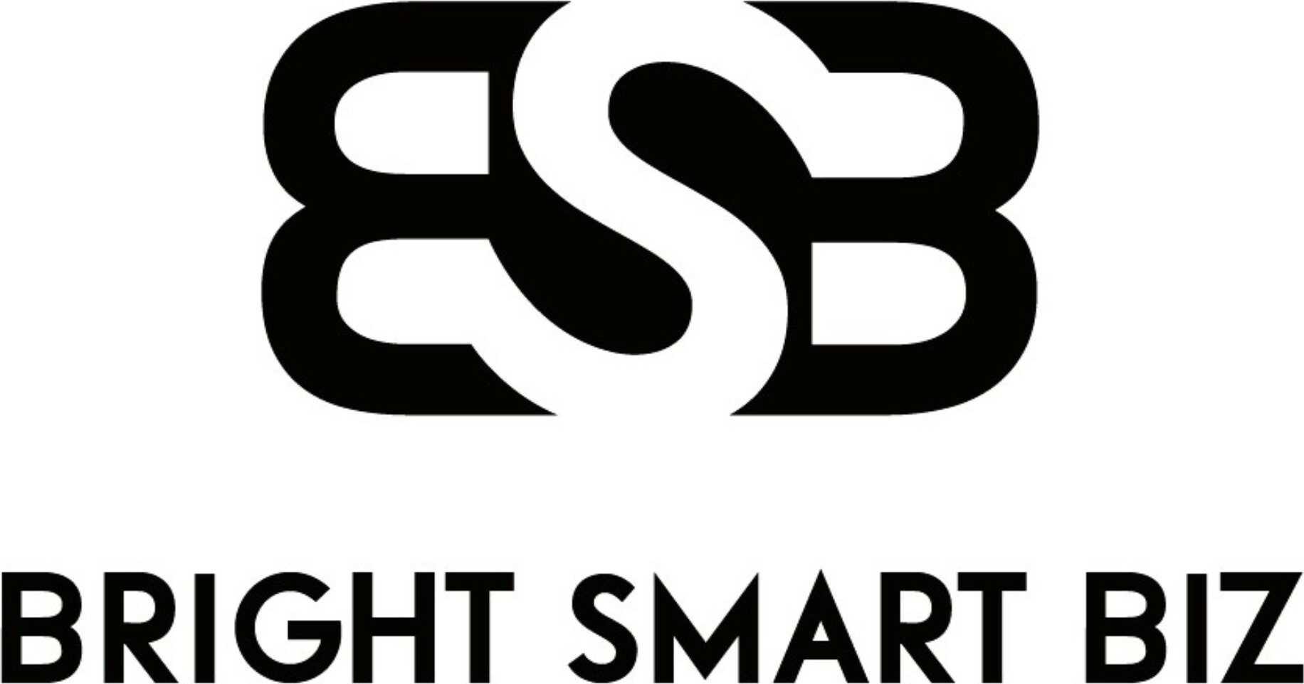 Asegure su futuro financiero con Bright Smart Biz.